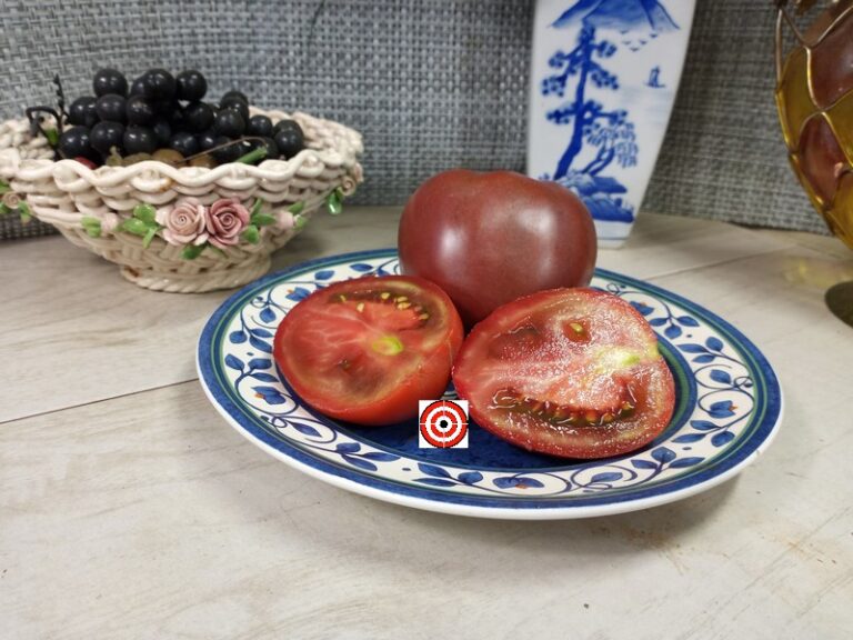 Amarillo Rust Heart Tomato-Bounty Hunter Seeds-Rare, Heirlooms
