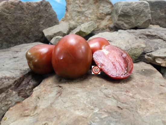 Dwarf Aussie Drop Tomato-Bounty Hunter Seeds-Rare Heirlooms