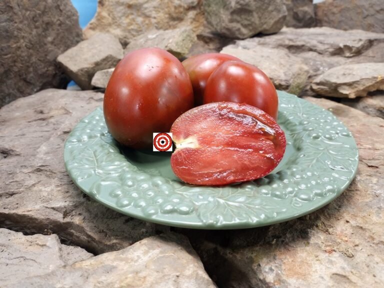 Dwarf Aussie Drop Tomato-Bounty Hunter Seeds-Rare Heirlooms