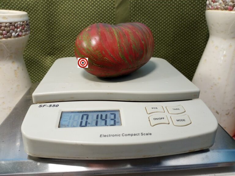 Dwarf Purple Heart Throb Tomato-Bounty Hunter Seeds-Heirlooms