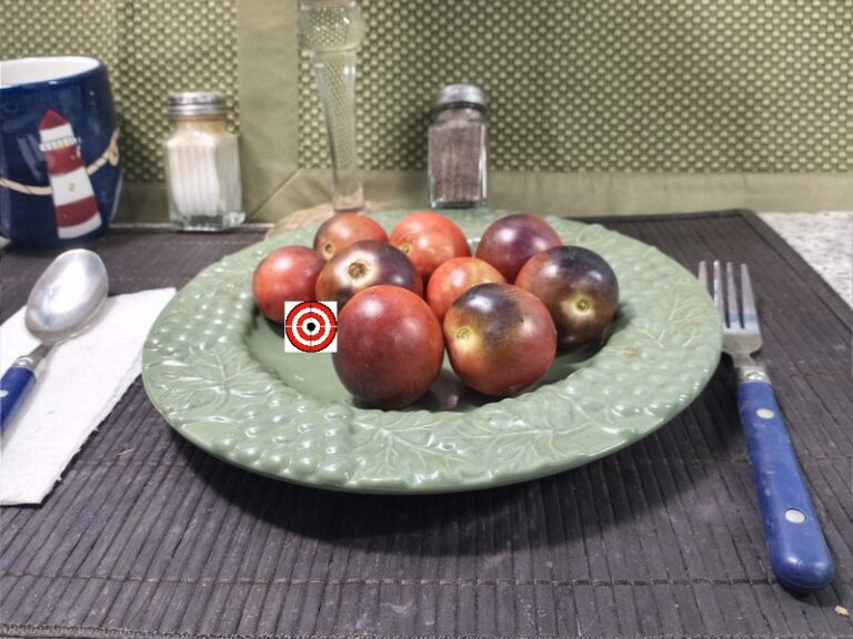 Dwarf Mocha Cherry Tomato-Bounty Hunter Seeds-Heirloom Seeds