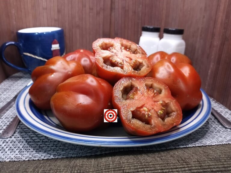 Deep Space Snickers Tomato Bounty Hunter Seeds Rare Tomatoes