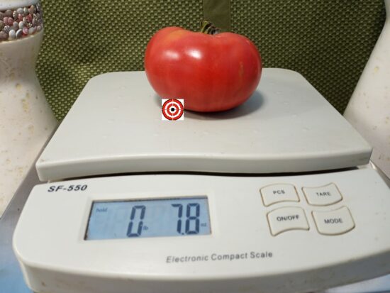 Marizol Bratka Tomato-Bounty Hunter Seeds-Rare Tomato Seeds