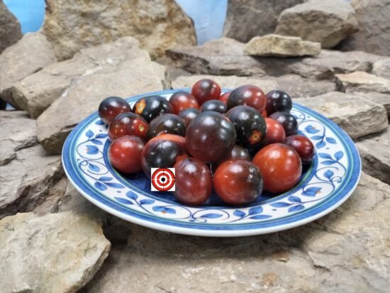 Midnight Snack F2 Tomato-Bounty Hunter Seeds-Rare Tomatoes