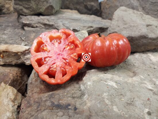 Mushroom Basket Tomato-Bounty Hunter Seeds-Tomato Seeds