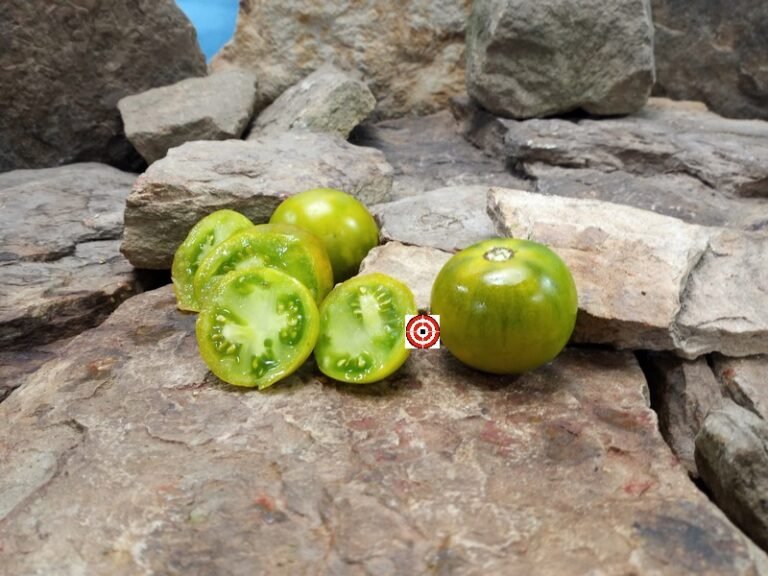 Toad Suck Toad Tomato-Bounty Hunter Seeds-Heirloom Tomatoes