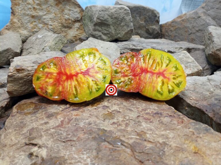 Dwarf Beauty Kiss Tomato-Bounty Hunter Seeds-Heirloom Tomatoes