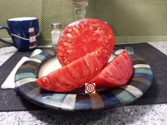 Big Cheef Red Tomato-Bounty Hunter Seeds-Heirloom Tomato Seeds