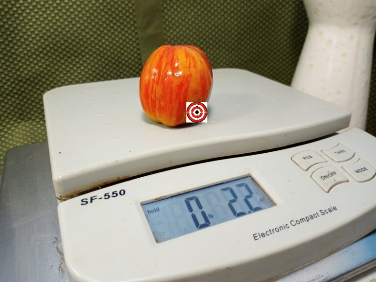 Get Stuffed Tomato -Bounty Hunter Seeds-Heirloom Tomatoes
