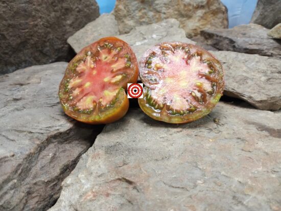 Golova Negra Tomato-Bounty Hunter Seeds-Heirloom Tomatoes