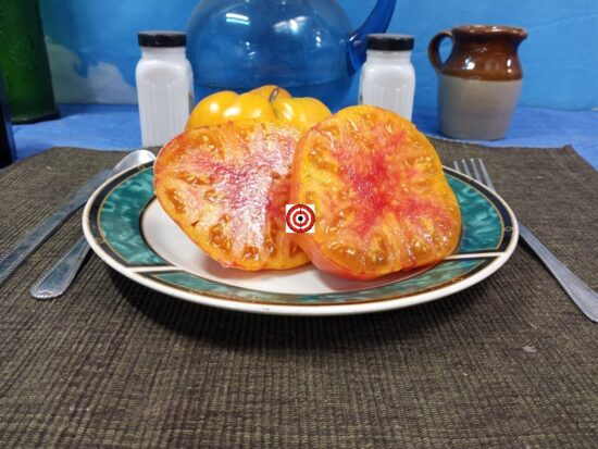 Virginia Sweets Tomato-Bounty Hunter Seeds-Heirloom Tomatoes