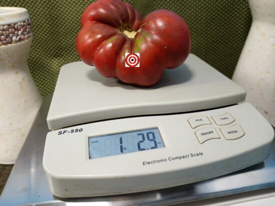 Black Supersteak Tomato-Bounty Hunter Seeds-Rare, Heirlooms