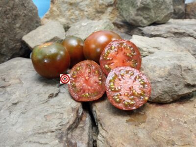Dwarf Brown #9 Tomato - Bounty Hunter Seeds - Rare Tomatoes