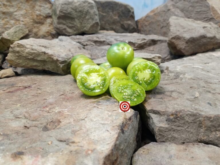 Dwarf Beautiful Ones Tomato-Bounty Hunter Seeds-Tomato Seeds