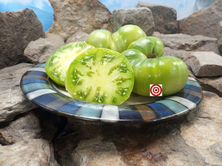 Jackass Green Dwarf Tomato - Bounty Hunter Seeds - Rare Seeds