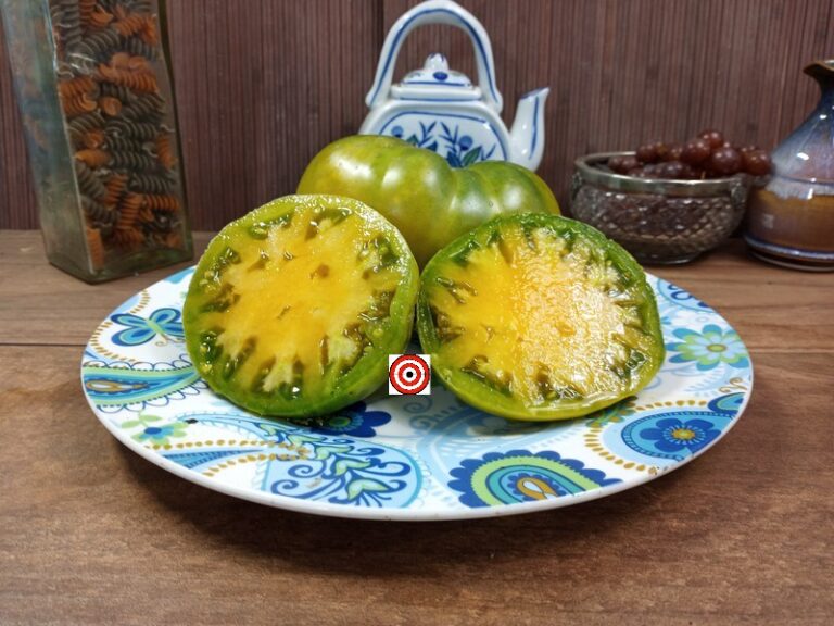 Dwarf Parfait Tomato - Bounty Hunter Seeds - Rare, Heirlooms