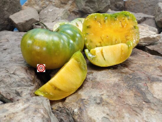 Dwarf Parfait Tomato - Bounty Hunter Seeds - Rare, Heirlooms