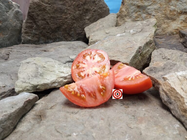 Dwarf Melanie's Ballet Tomato - Bounty Hunter Seeds - Heirlooms