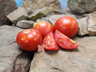 Quinza Tomato-Bounty Hunter Seeds-Heirloom Tomato Seeds