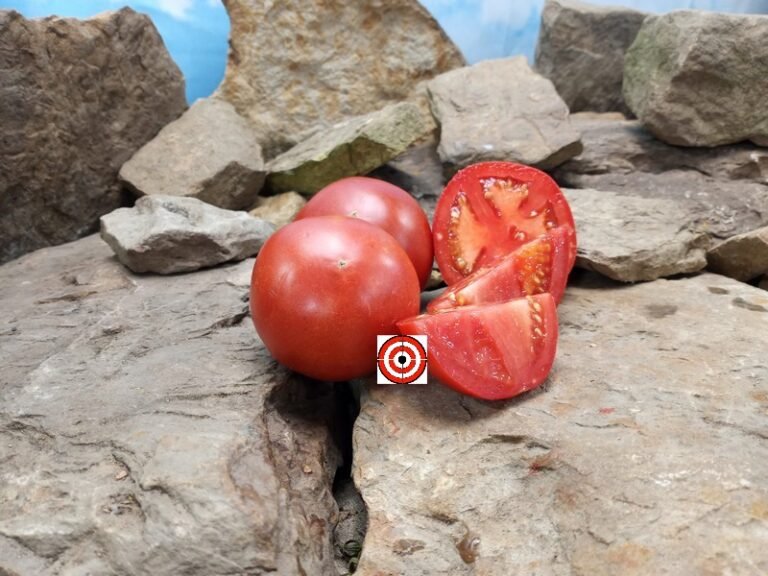 Quinza Tomato-Bounty Hunter Seeds-Heirloom Tomato Seeds