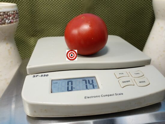 Quinza Tomato-Bounty Hunter Seeds-Heirloom Tomato Seeds