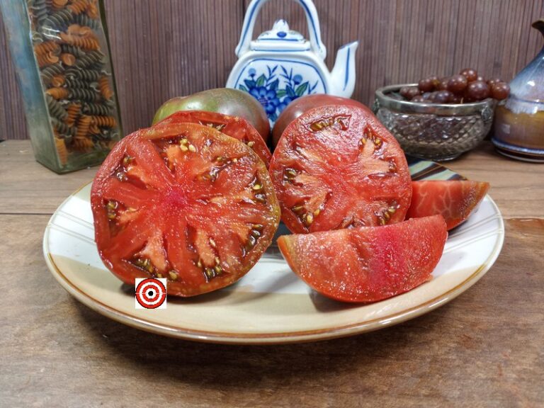 Blue Bling Tomato-Bounty Hunter Seeds-Heirloom Tomato Seeds