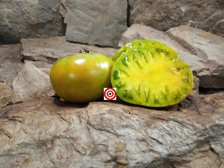 Captain Lucky Tomato-Bounty Hunter Seeds-Rare Heirloom Seeds