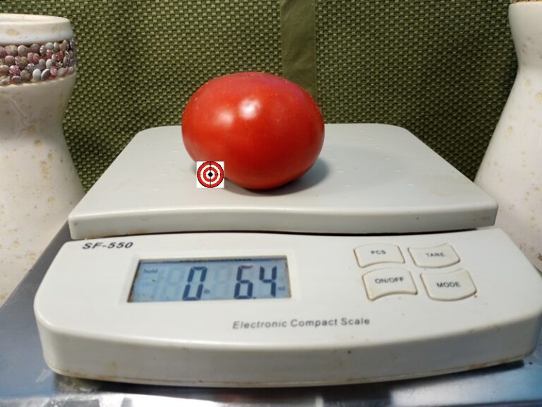 Chalk's Early Jewel Tomato - Bounty Hunter Seeds - Rare Seeds