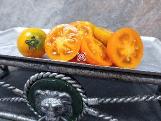 Dwarf Allure Tomato-Bounty Hunter Seeds-Heirloom Tomato Seeds