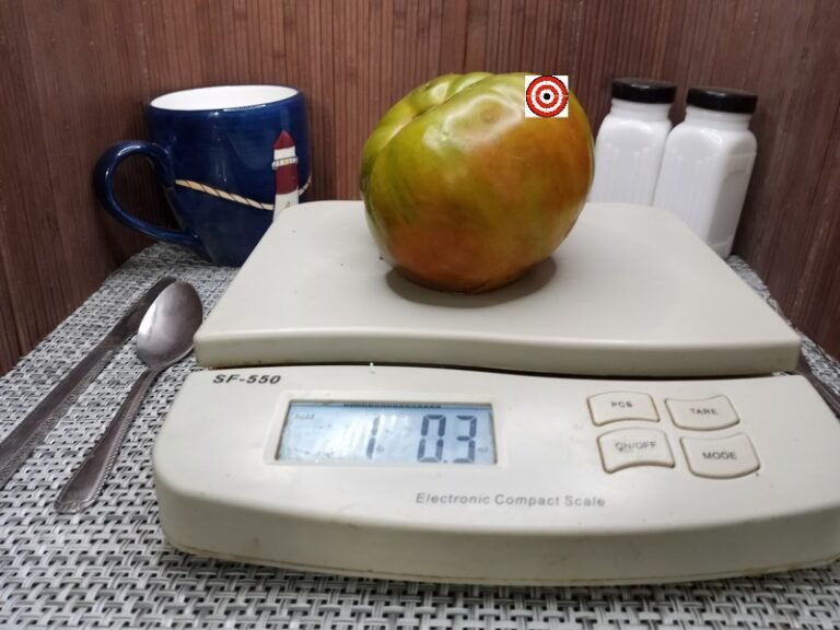 Jarson 1 Tomato-Bounty Hunter Seeds-Heirloom Tomato Seeds