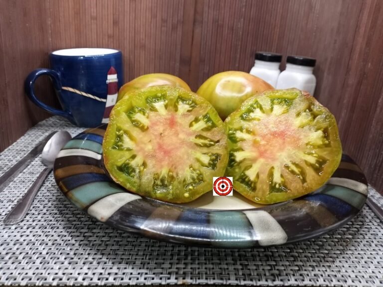 Jarson 1 Tomato-Bounty Hunter Seeds-Heirloom Tomato Seeds