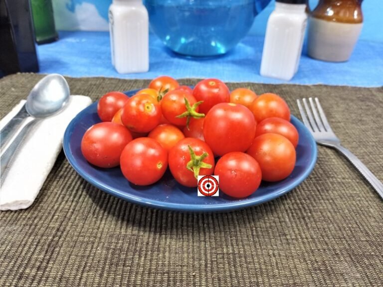 Punta Banda Tomato-Bounty Hunter Seeds-Heirloom Tomato Seeds