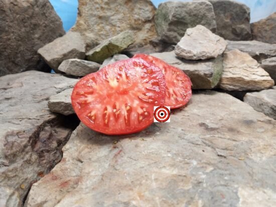 Ruby Red Tomato-Bounty Hunter Seeds-Heirloom Tomato Seeds