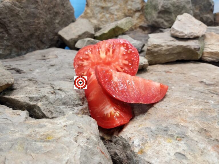 Ruby Red Tomato-Bounty Hunter Seeds-Heirloom Tomato Seeds