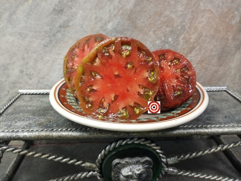 Heirloom Tomato Pictures 28 Bounty Hunter Seeds Rare Tomatoes