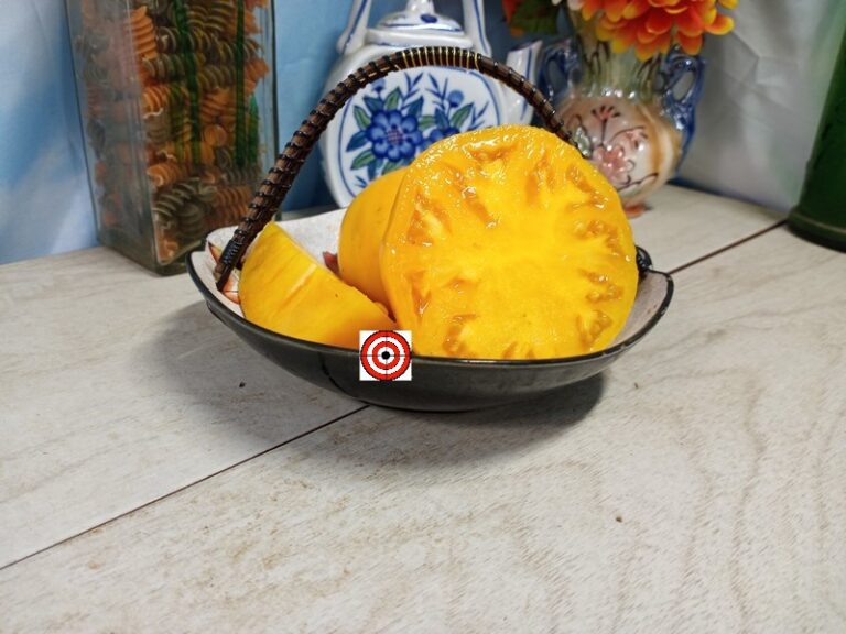 Claude Brown's Yellow Giant Tomato Bounty Hunter Seeds Tomato