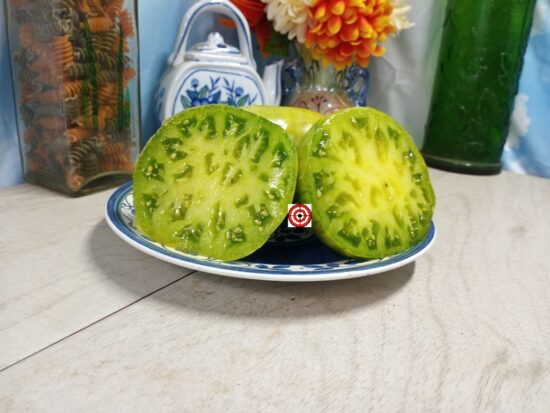 Dwarf Delano Tomato Bounty Hunter Seeds Rare Dwarf Tomatoes