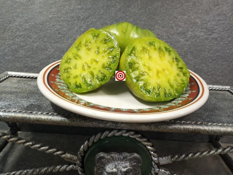 Dwarf Delano Tomato Bounty Hunter Seeds Rare Dwarf Tomatoes