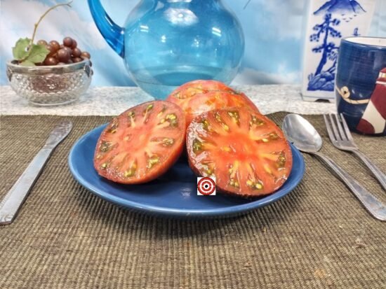 Dwarf Rebel Starfighter Dippers Delight Tomato Bounty Hunter Seeds