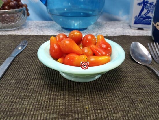 Dwarf Red Romanian Tomato Bounty Hunter Seeds Heirlooms