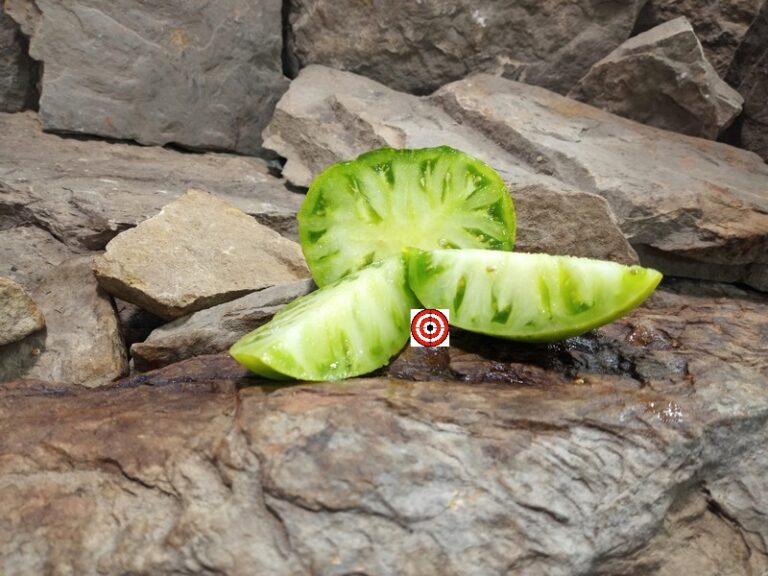 Evergreen Tomato Bounty Hunter Seeds Heirloom Tomato Seeds