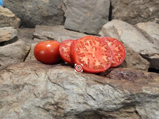 Flavor Steak Tomato Bounty Hunter Seeds Heirloom Tomato Seeds