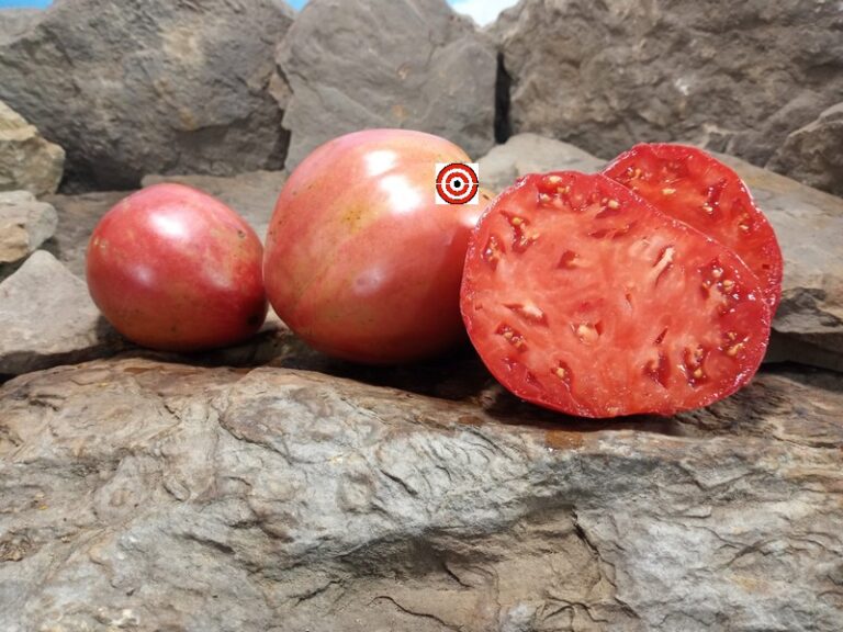 Heart of Italy Tomato Bounty Hunter Seeds Rare Tomato Seeds