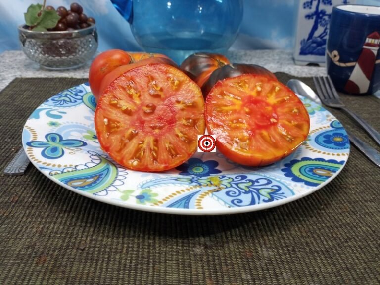 King Blue Tomato Bounty Hunter Seeds Rare Heirloom Tomatoes