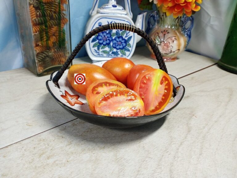 Mariana Tomato Bounty Hunter Seeds Rare Heirloom Tomatoes