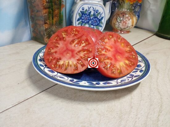 Twyman Tomato Bounty Hunter Seeds Heirloom Tomato Seeds