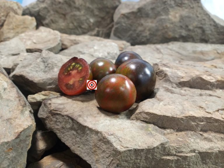 Shadow of Death Dwarf RL Tomato Bounty Hunter Seeds